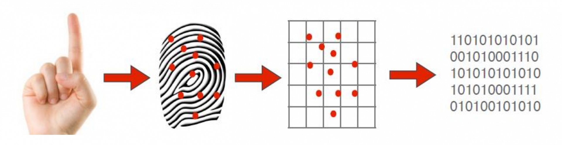 What is biometrics? | Touchless Biometric Systems AG